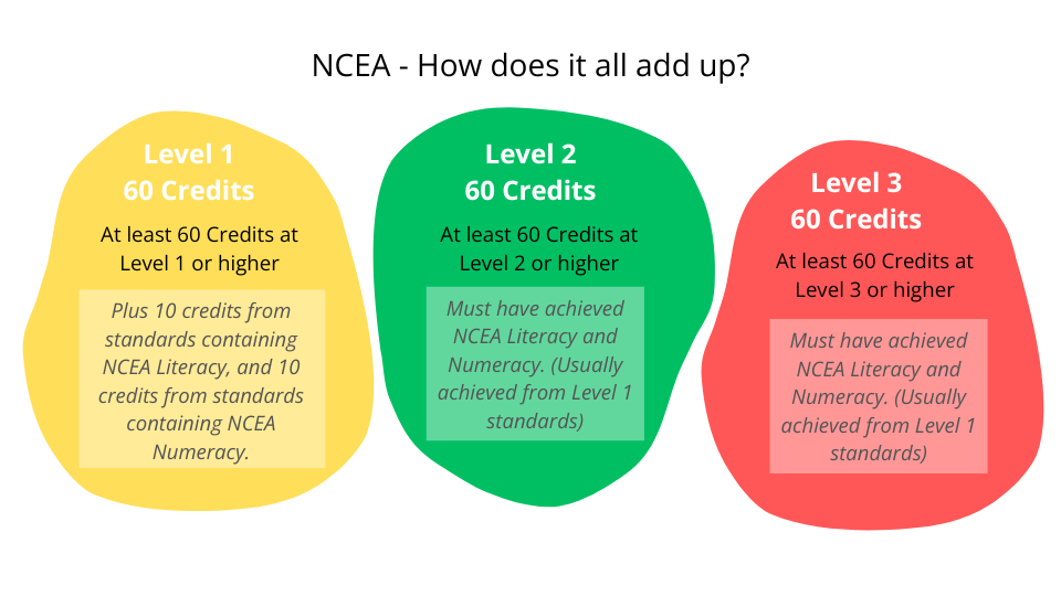 Mercury Bay Area School - Senior Years Overview